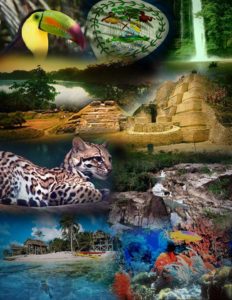 Home - Belize Tax Services