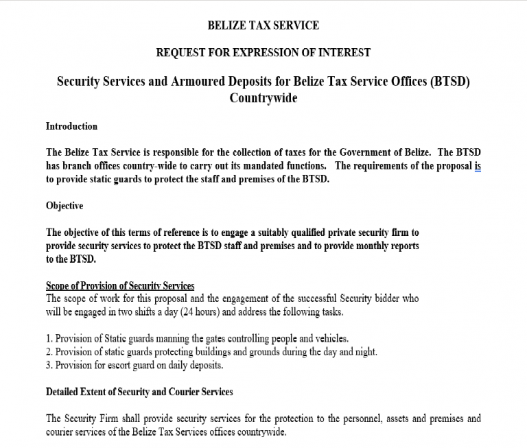 Home - Belize Tax Services