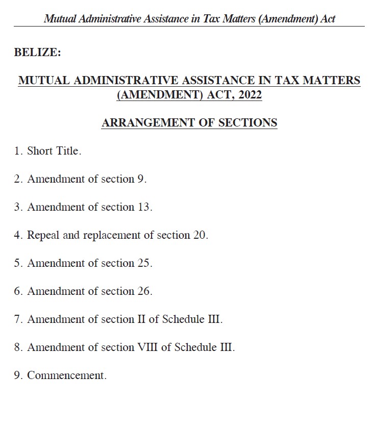 Home - Belize Tax Services